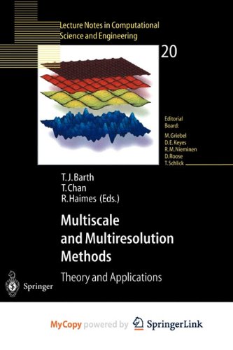 Multiscale and Multiresolution Methods: Theory and Applications by Timothy J. Barth (PDF) | sci ...